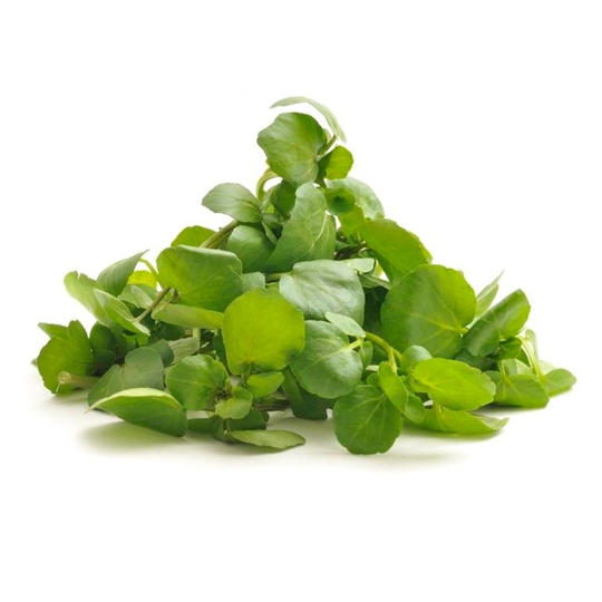 Watercress - Foods - NutriLiving